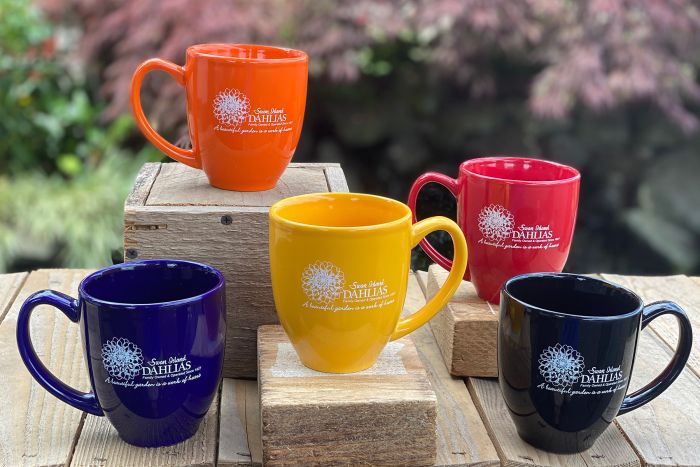 SID Bistro Mug | Swan Dahlias