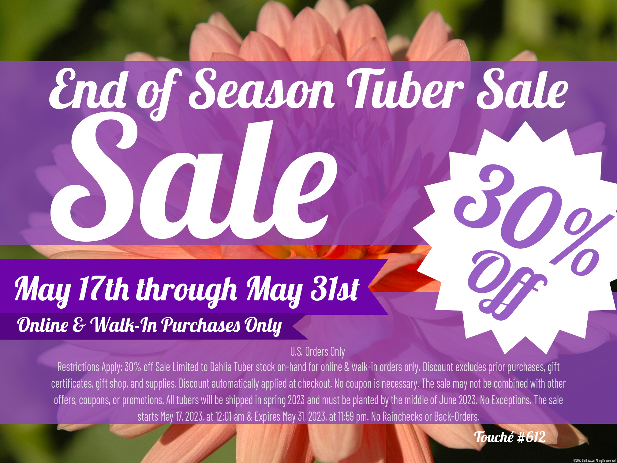 2023 - Spring Sale - May 17th Through May 31st! | Swan Island Dahlias ...