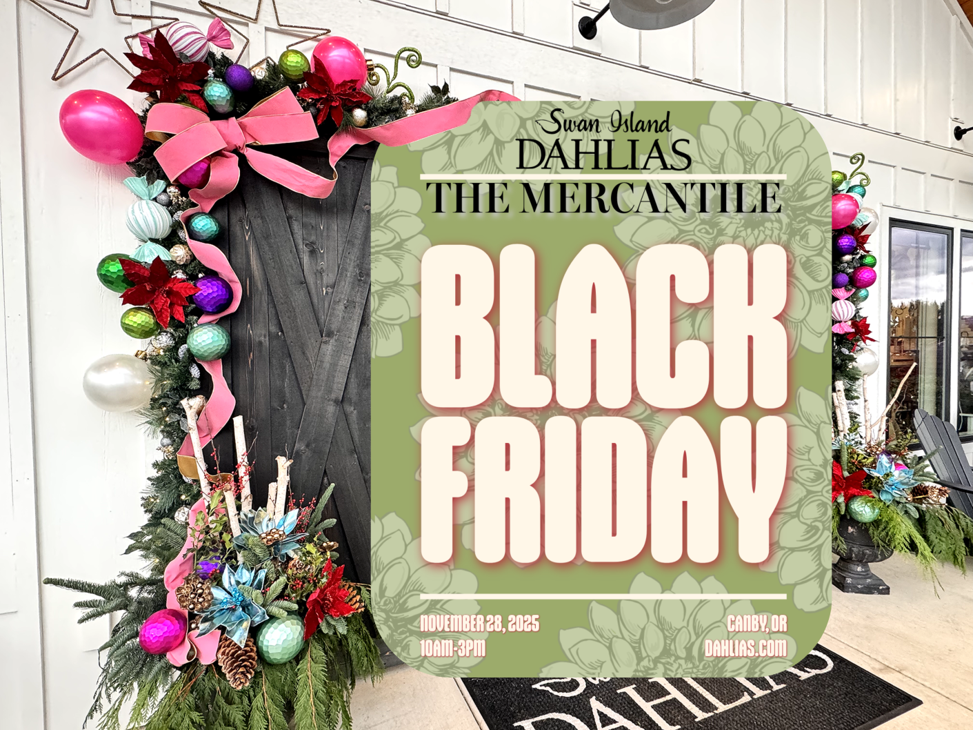 2025 - THE MERCANTILE - BLACK FRIDAY | Swan Island Dahlias | Swan Dahlias